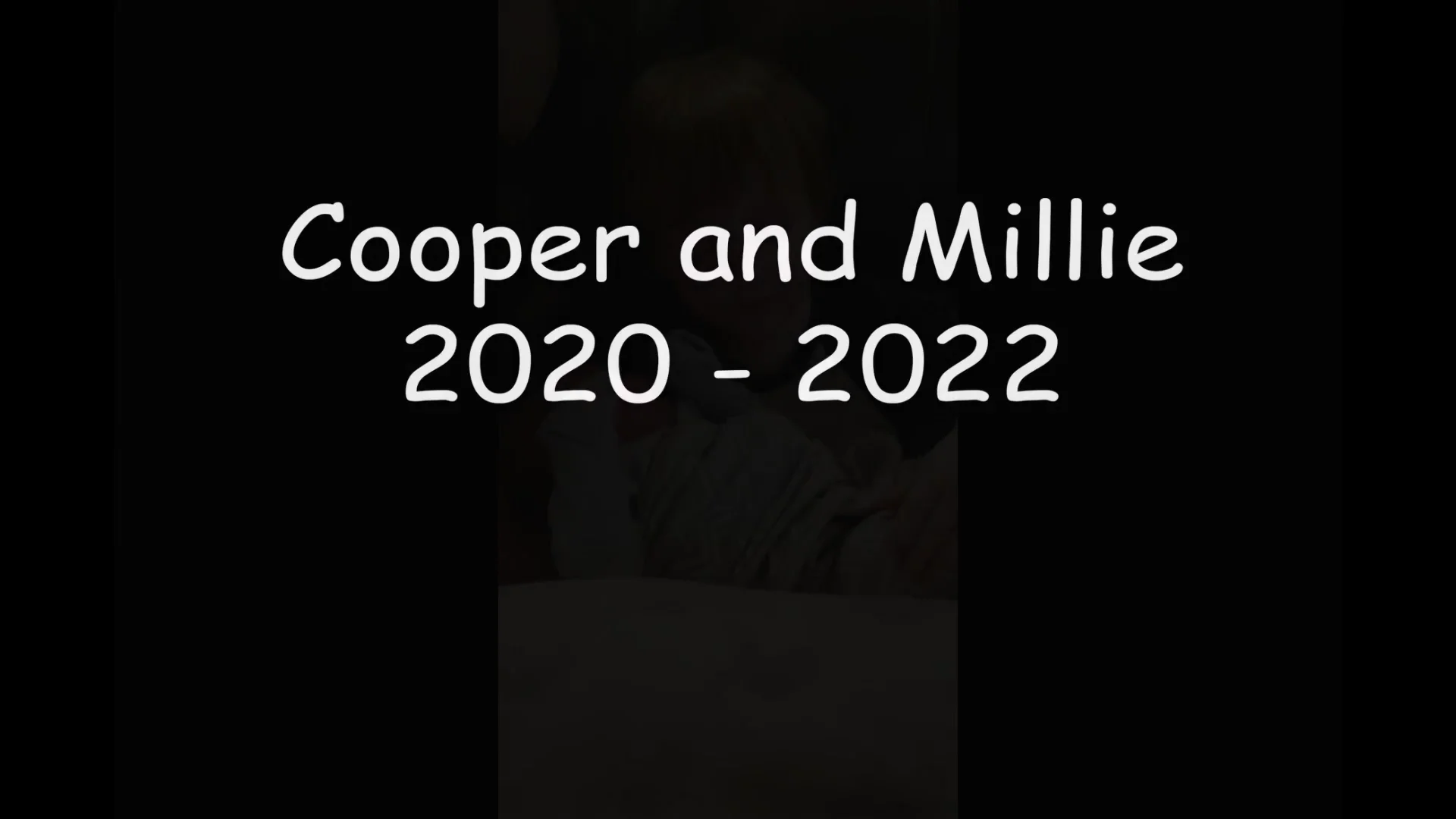 Cooper & Millie 2020-2023 on Vimeo