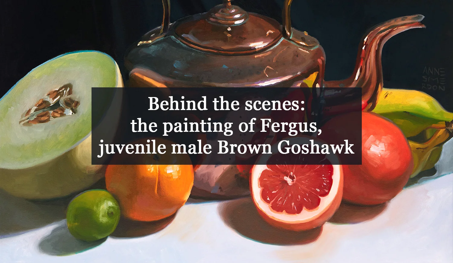 Painting Fergus, juvenile male Brown Goshawk on Vimeo