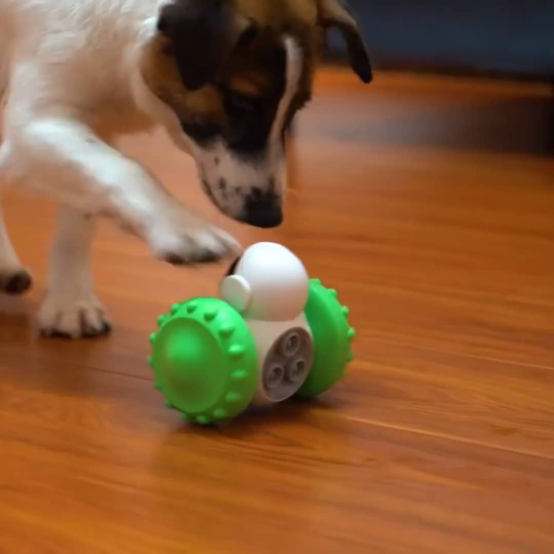 Cosmic Toy & Food Dispenser from Pawoo on Vimeo