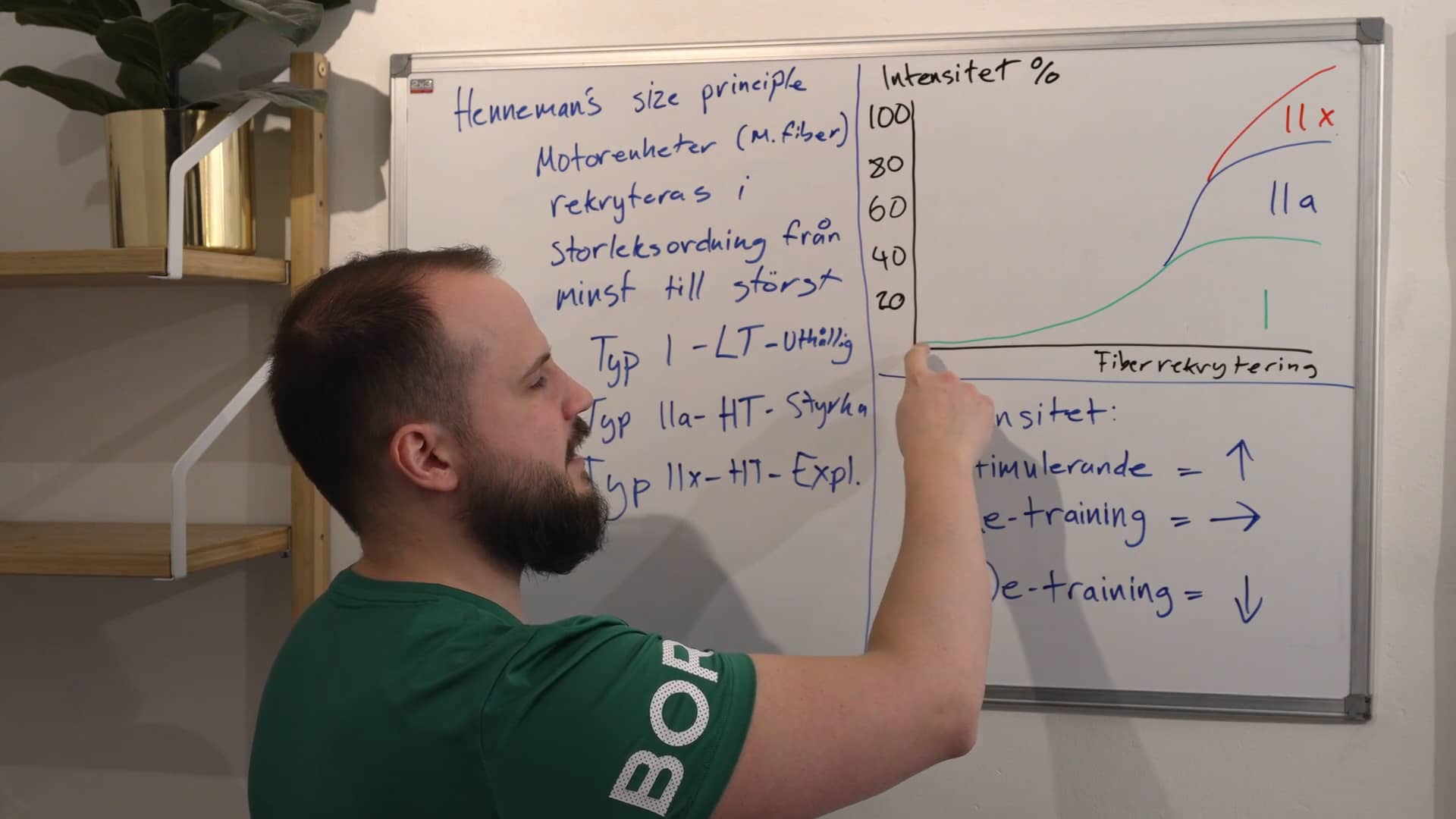 Styrka - kraftutveckling, styrka vs hastighet on Vimeo
