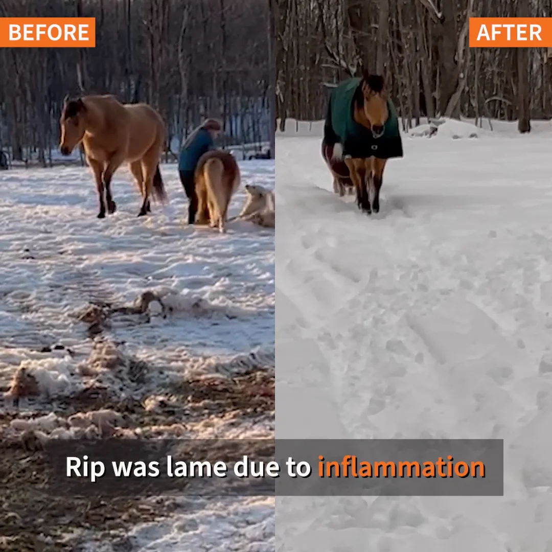 Rip Square Captions Split Screen on Vimeo