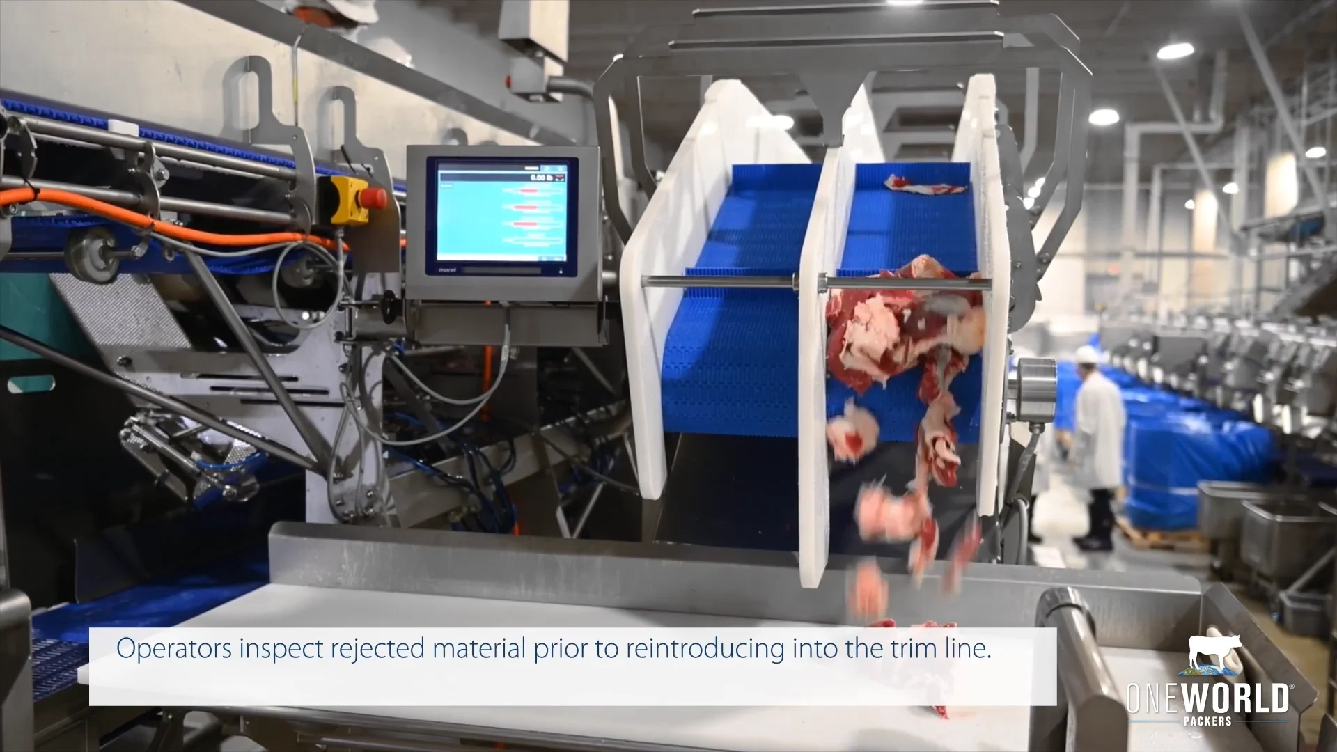 Marel SensorX Trim System on Vimeo