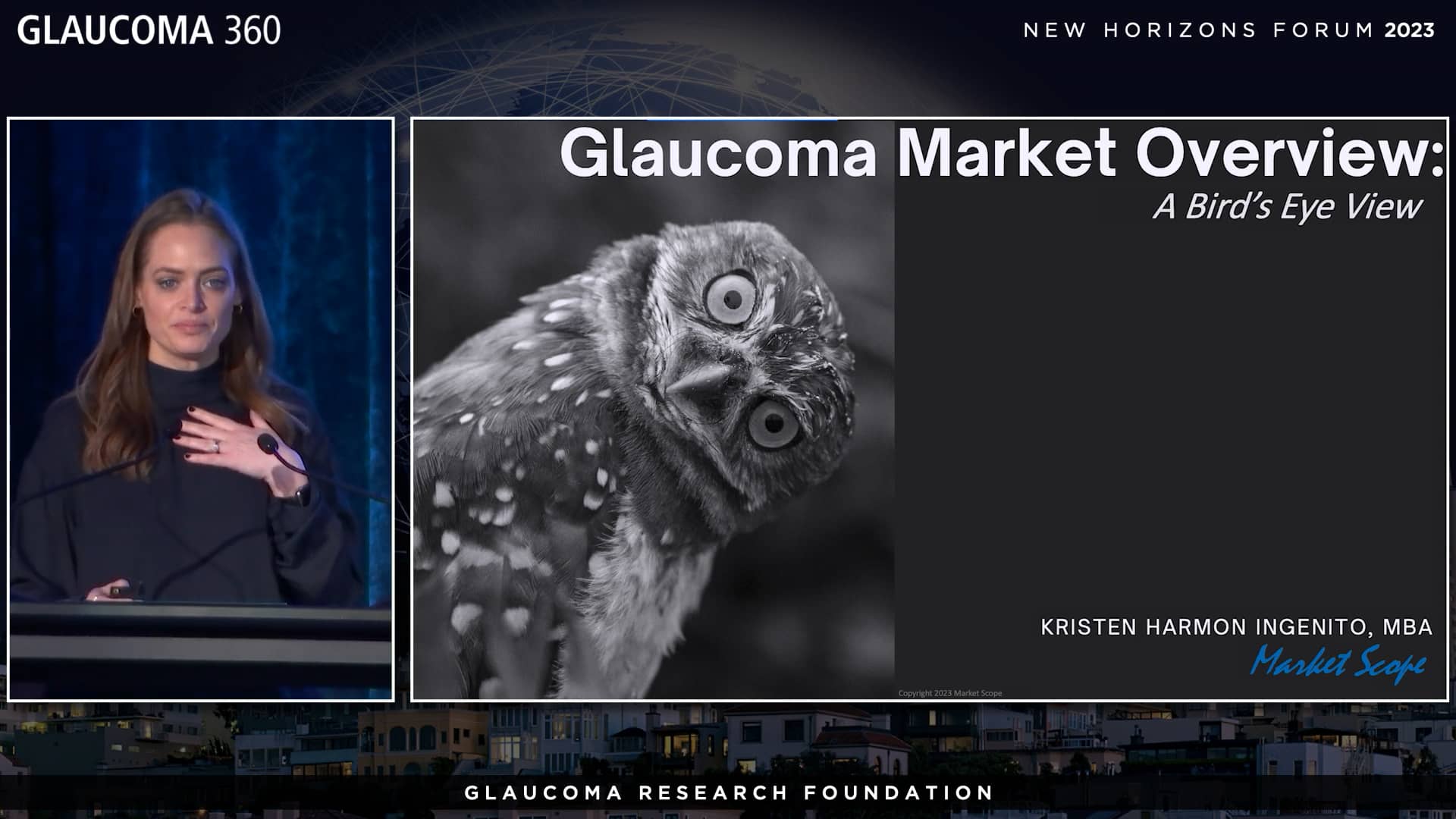 A Bird's Eye View of Innovation - Kristen H. Ingenito - 2023 New ...