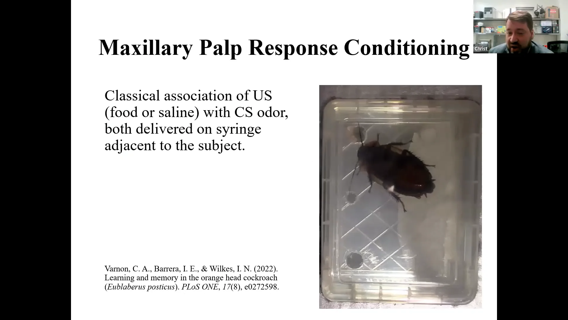 Watch What Can We Learn from Training Cockroaches? Online | Vimeo On ...