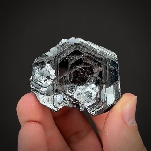 Special Rice Museum Benefit Auction!