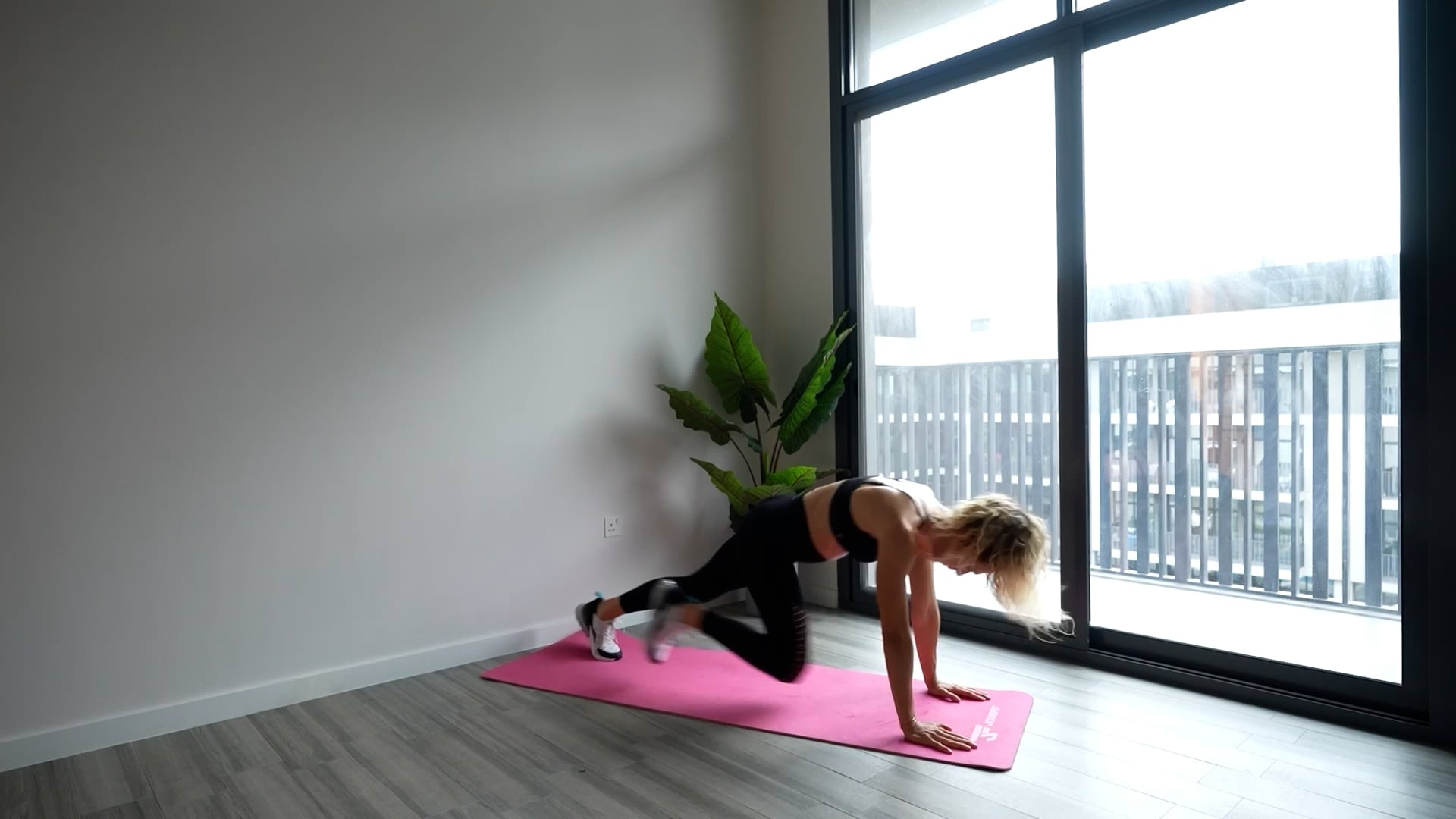 Mountain climbers + burpee