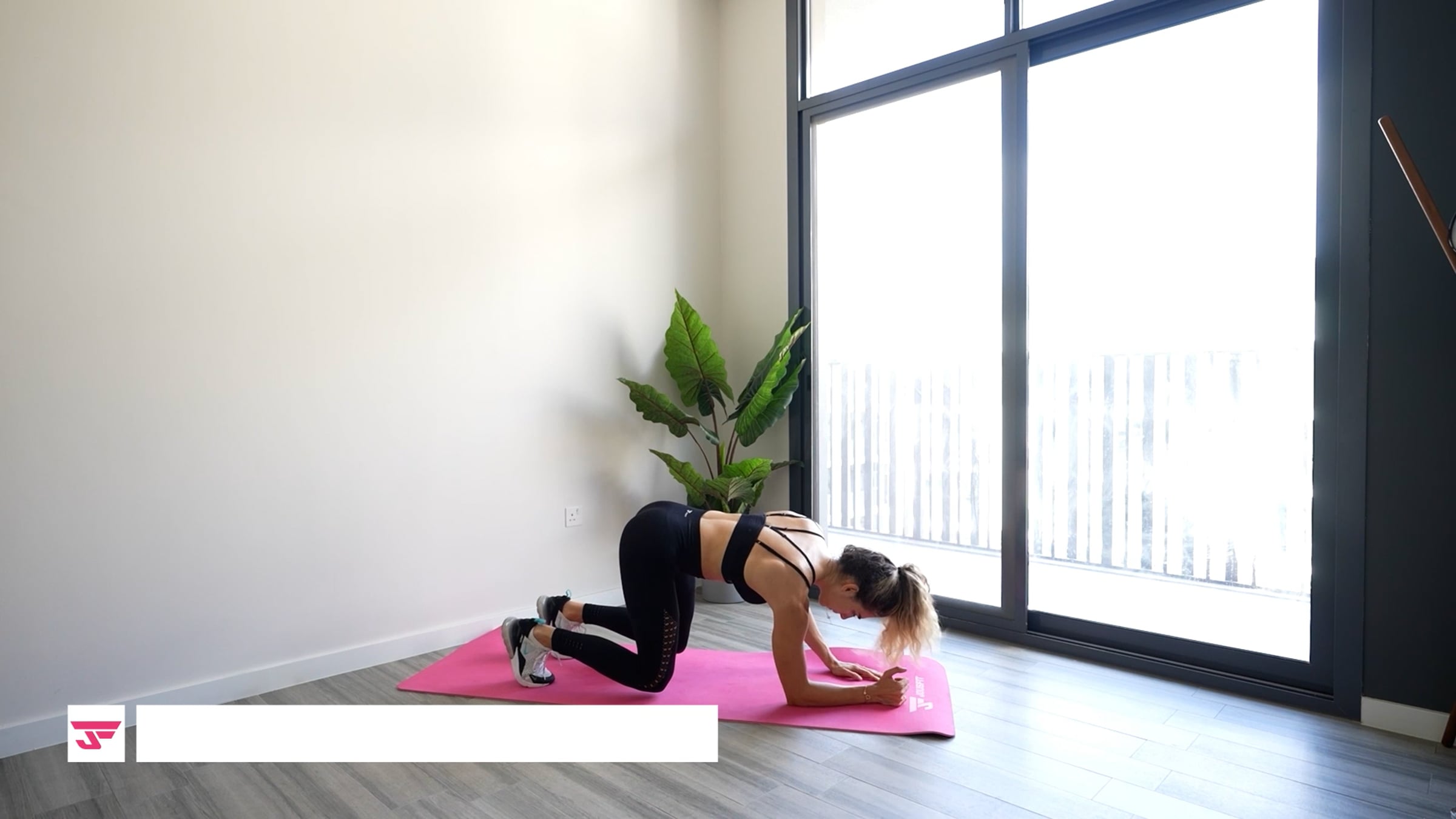 Cuadrupedia con codo-palma