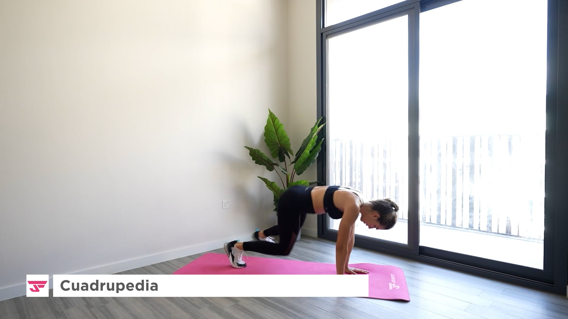 Cuadrupedia con variaciones laterales on Vimeo