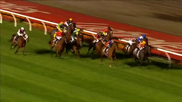 I Am Invincible - Stallion | Breednet