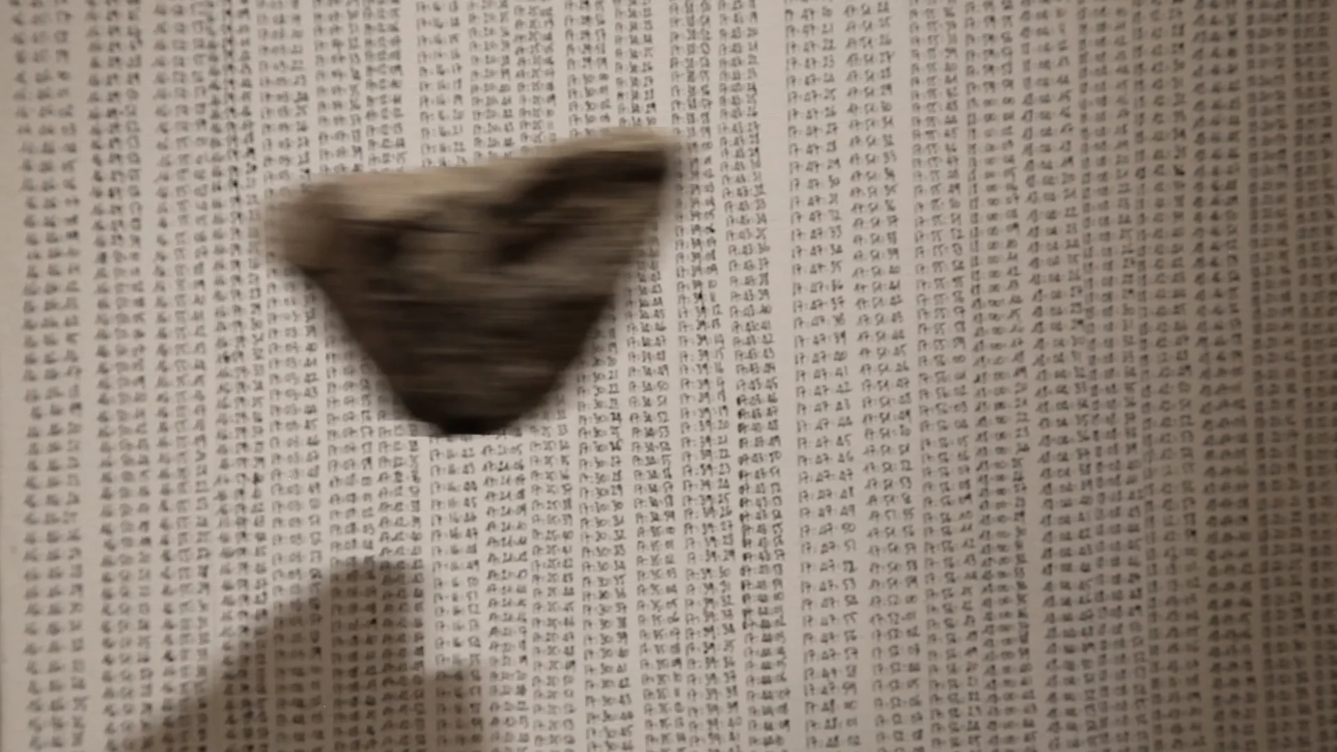 lento ma non troppo on Vimeo