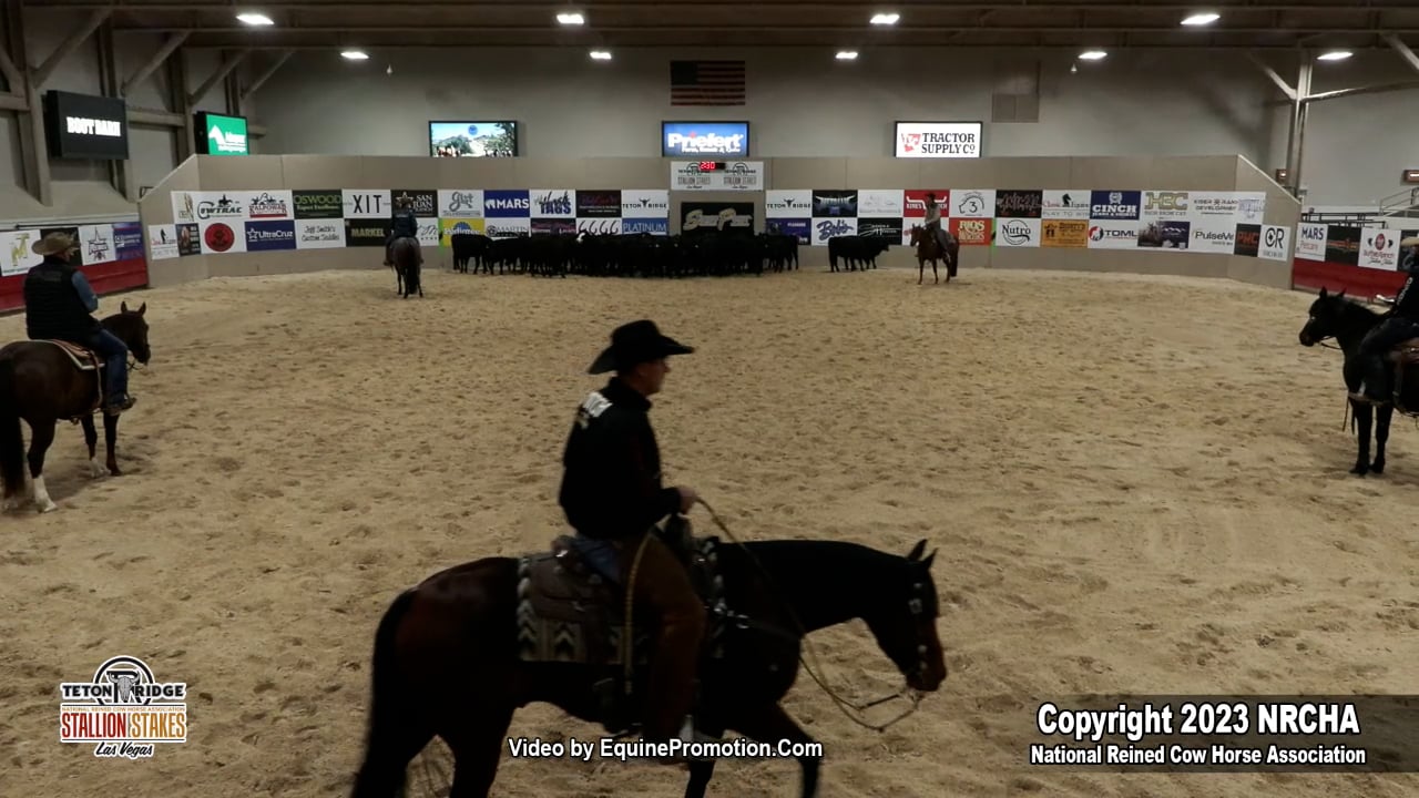 SHORT N CATT shown by PHILLIP RALLS - 2023 NRCHA Stallion Stakes (Herd ...