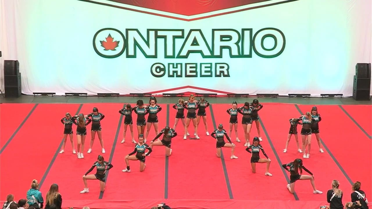 Cheer Sport Bahama Sharks - L3-U16 on Vimeo