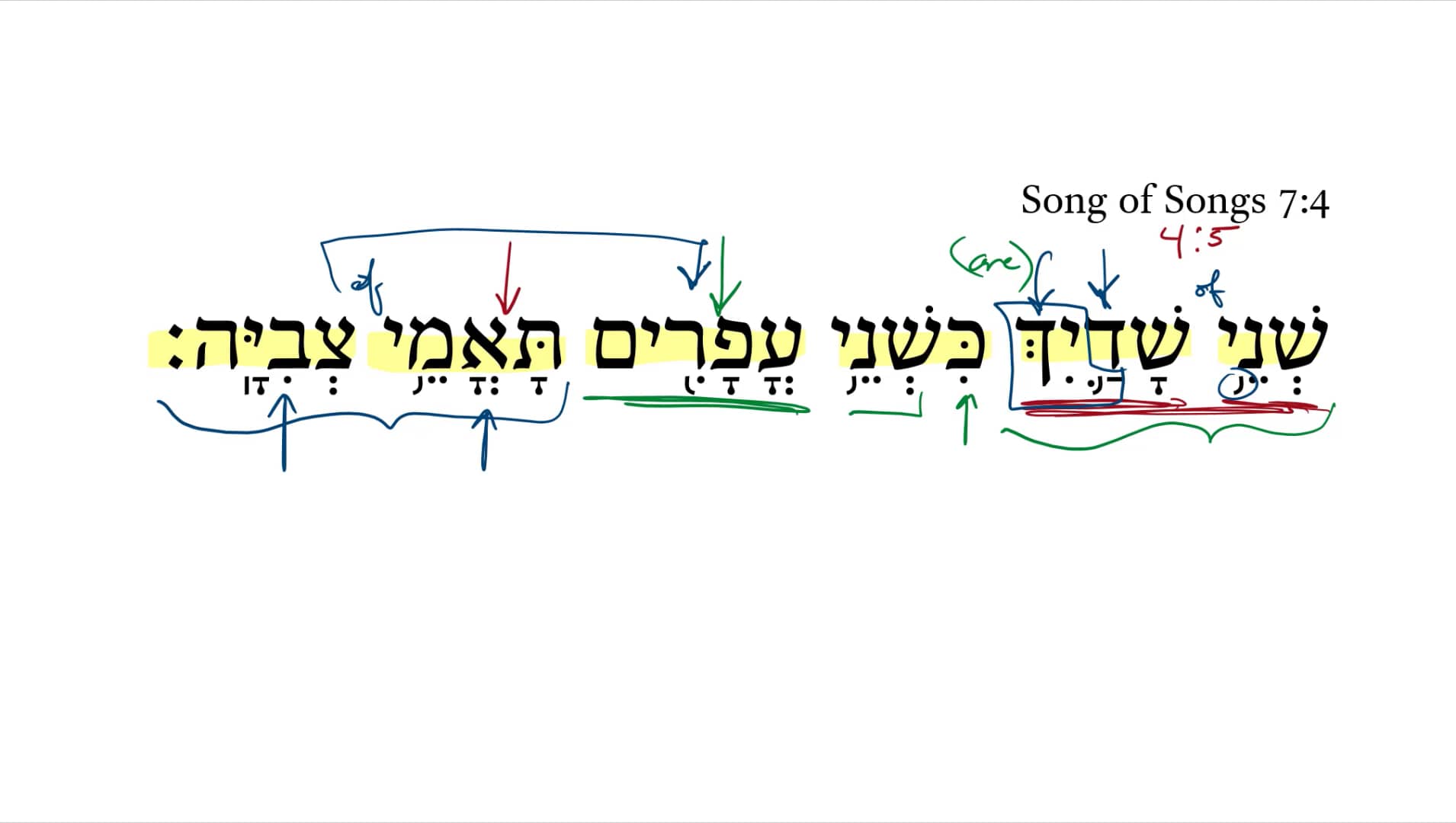 Song of Songs 7:4 on Vimeo