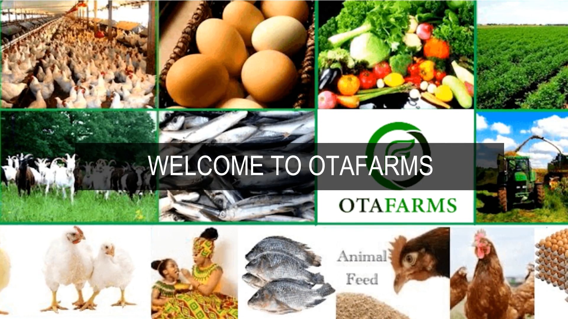 OTAFARMS