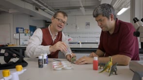 Video and Film Production - Borderpoint Films