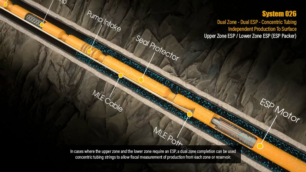 System 026 - Dual Zone - Dual ESP - Concentric Tubing - Independent ...