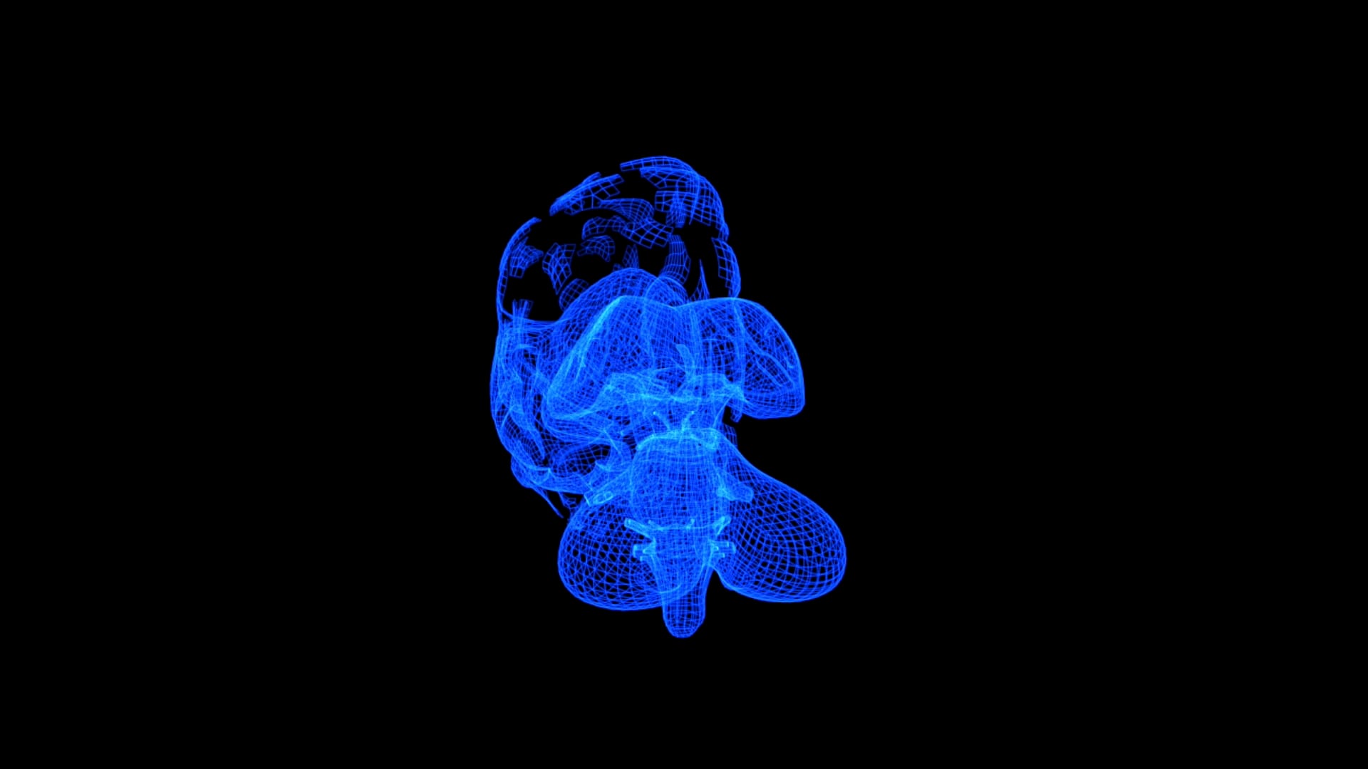 Brain Loop 10 sec.mp4 on Vimeo