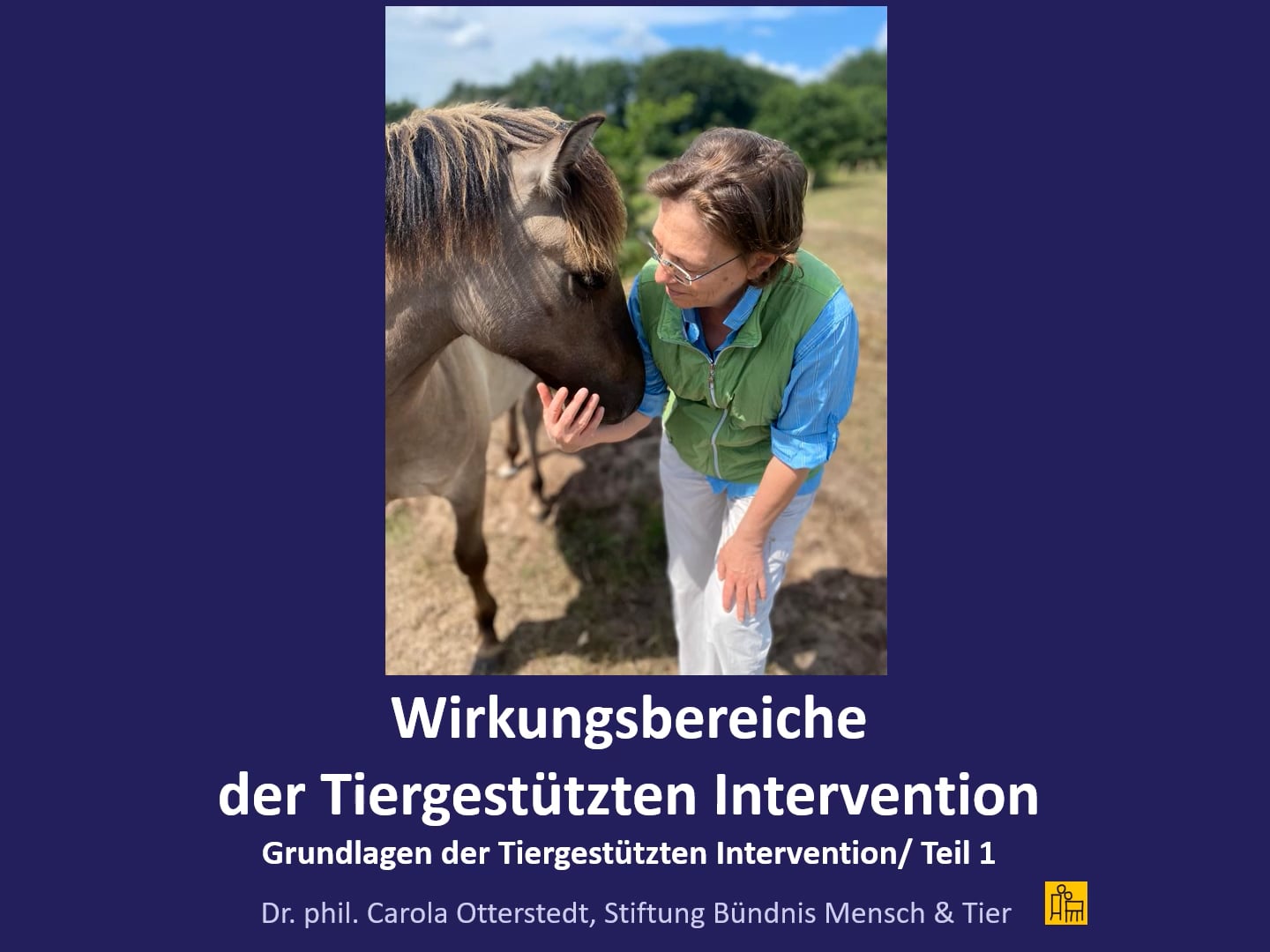 Watch Wirkungsbereiche der Tiergestützten Intervention - Grundlagen ...