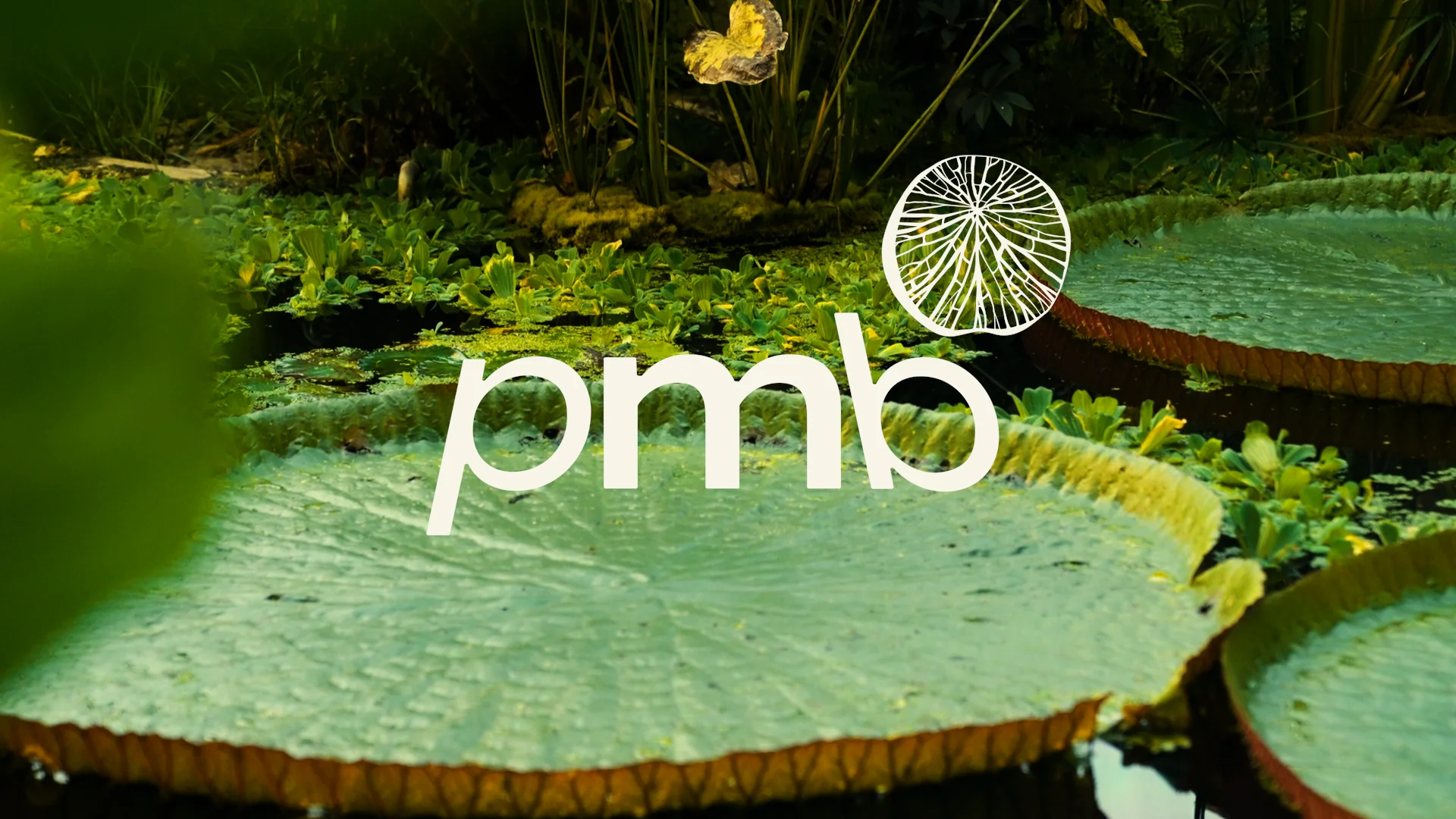 Manifesto PMB 2023 on Vimeo