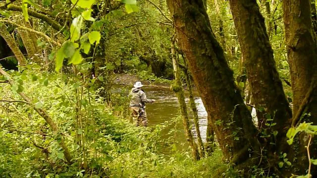 Split cane day on Vimeo