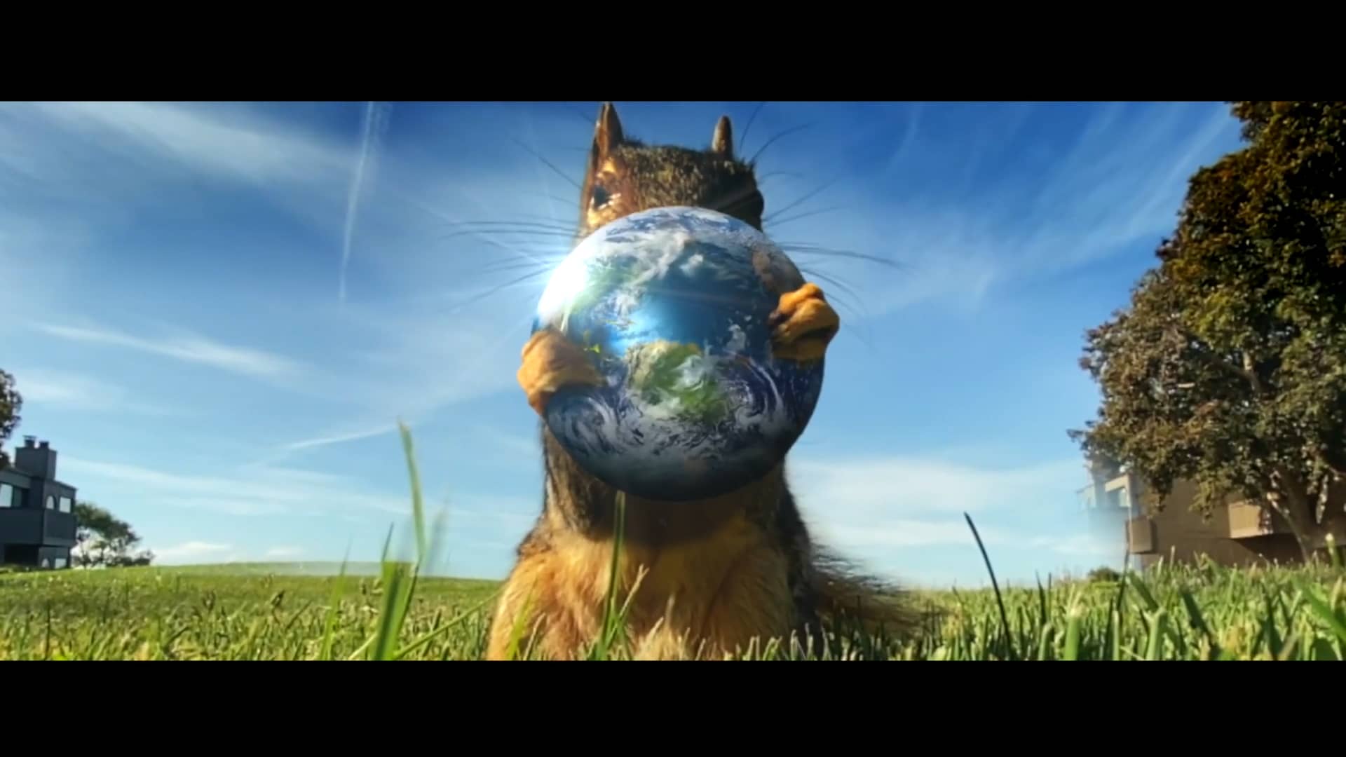 Squirrel Me Bad "The World's Gone Nutz" on Vimeo