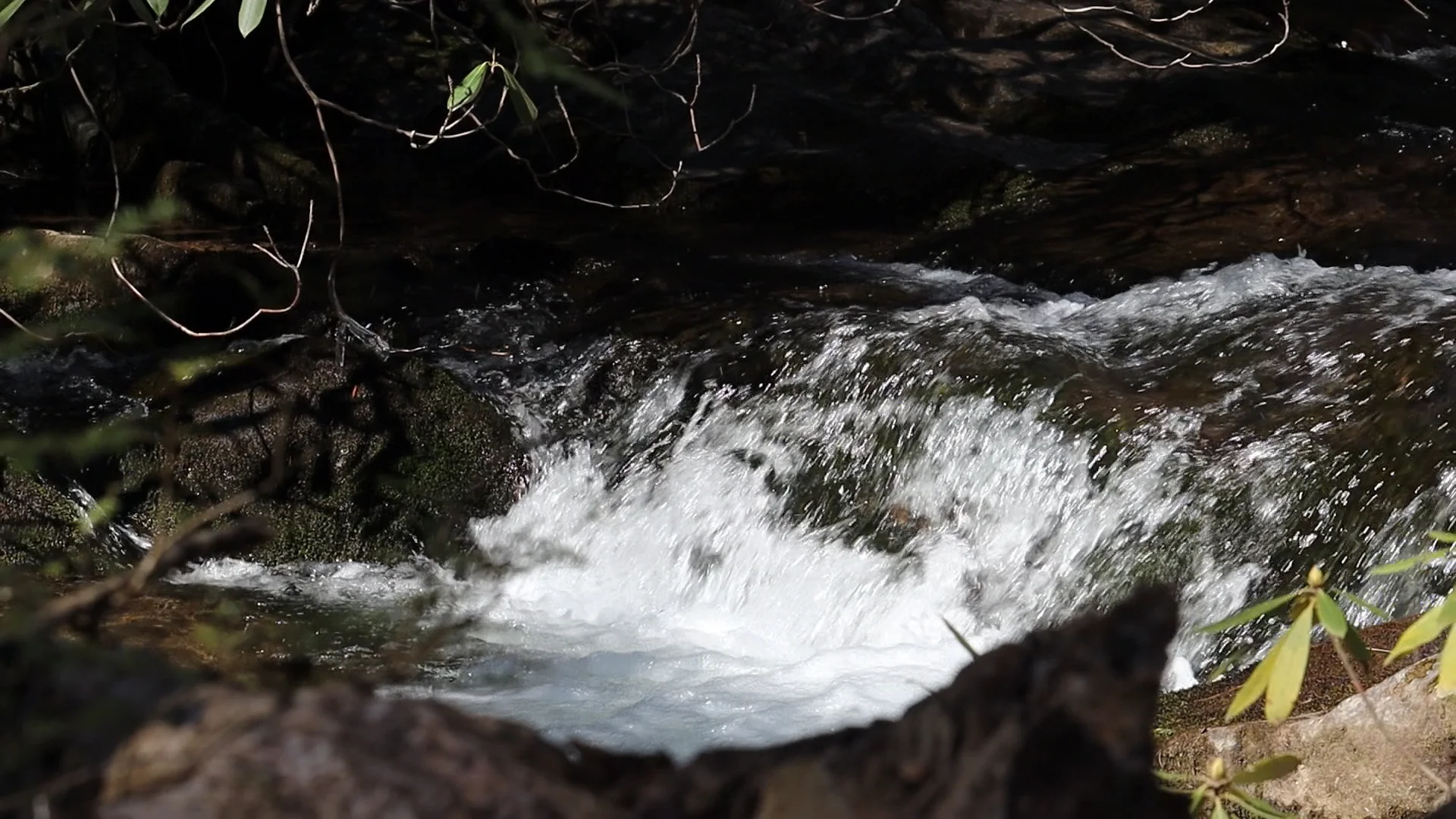 Stream in Northern Georgia on Vimeo