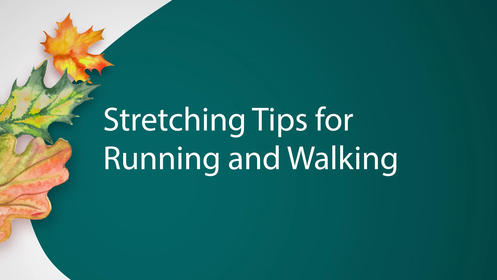 Stretching Tips on Vimeo