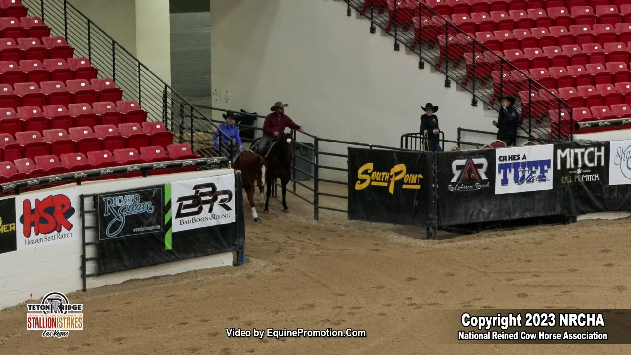 SMART CHIC AN TARI shown by SARAH DAWSON - 2023 NRCHA Stallion Stakes ...