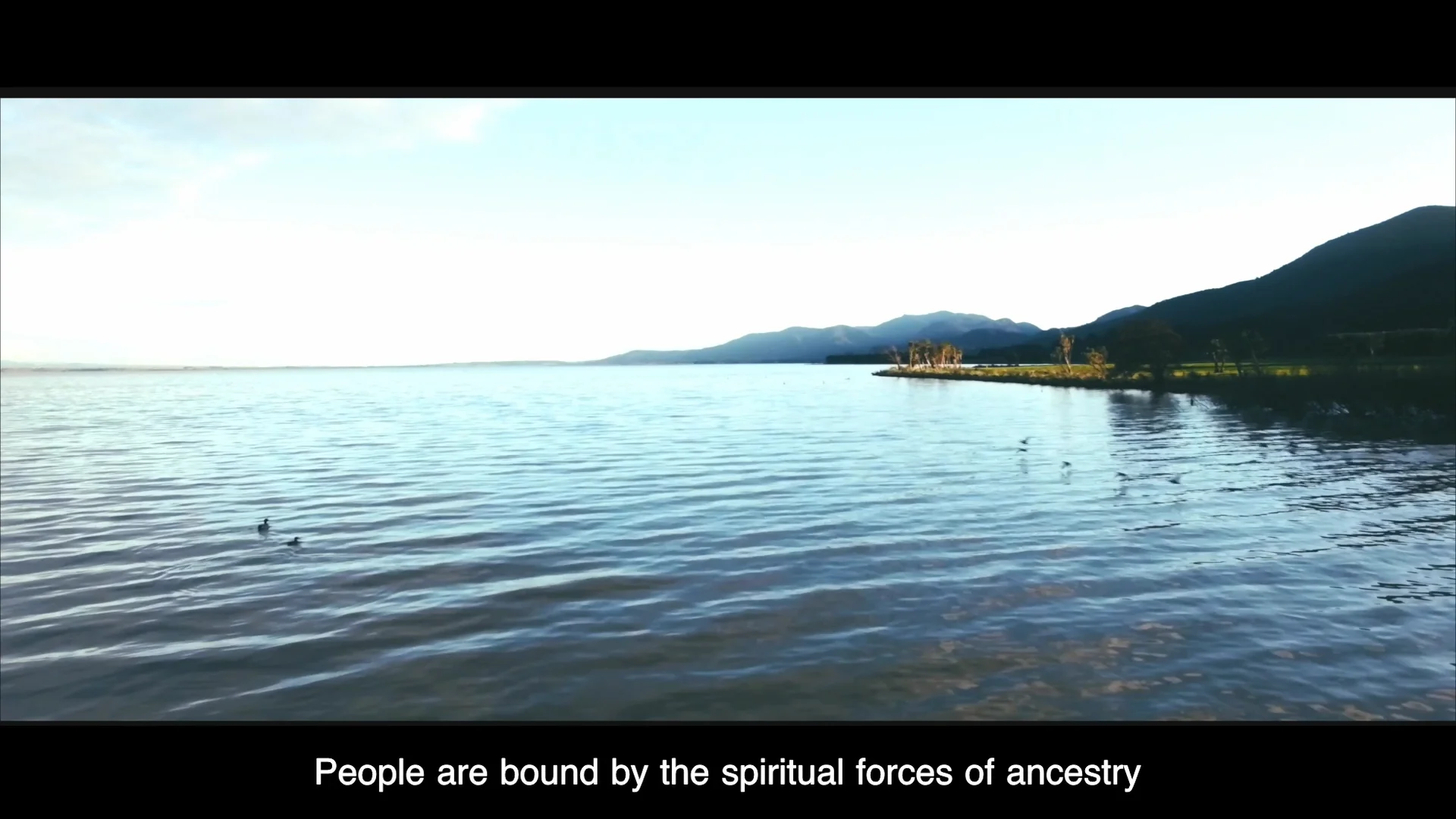 Te Aka Whai Ora with Rahui Papa and Tā Mason Durie on Vimeo