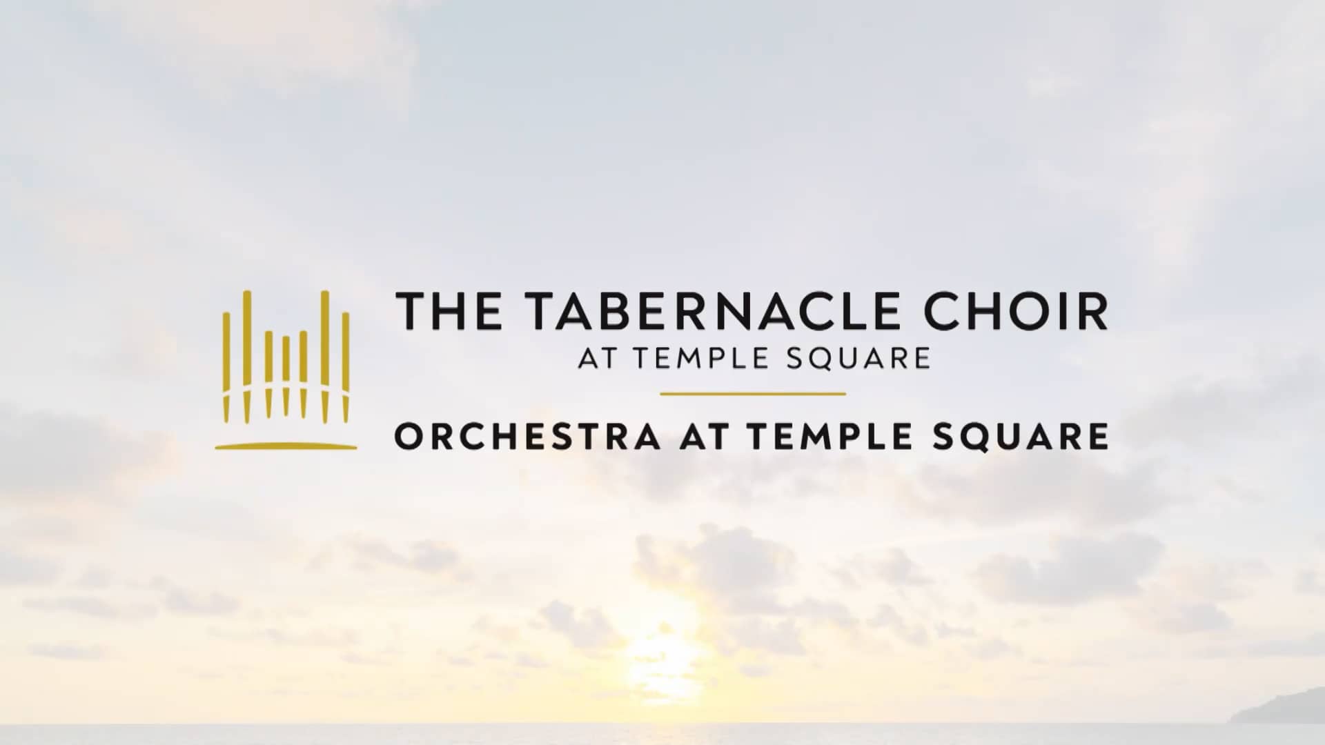 MSW_4857_HUN.mp4 on Vimeo