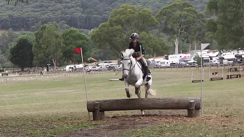Billie Welch riding Toby 91 Ev65 Tintern Grammar Interschool Horse ...