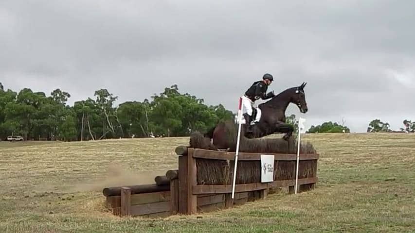 Mark Voivodich riding GILGIT BALTISTAN 199 CCN1 Wandin Park ...
