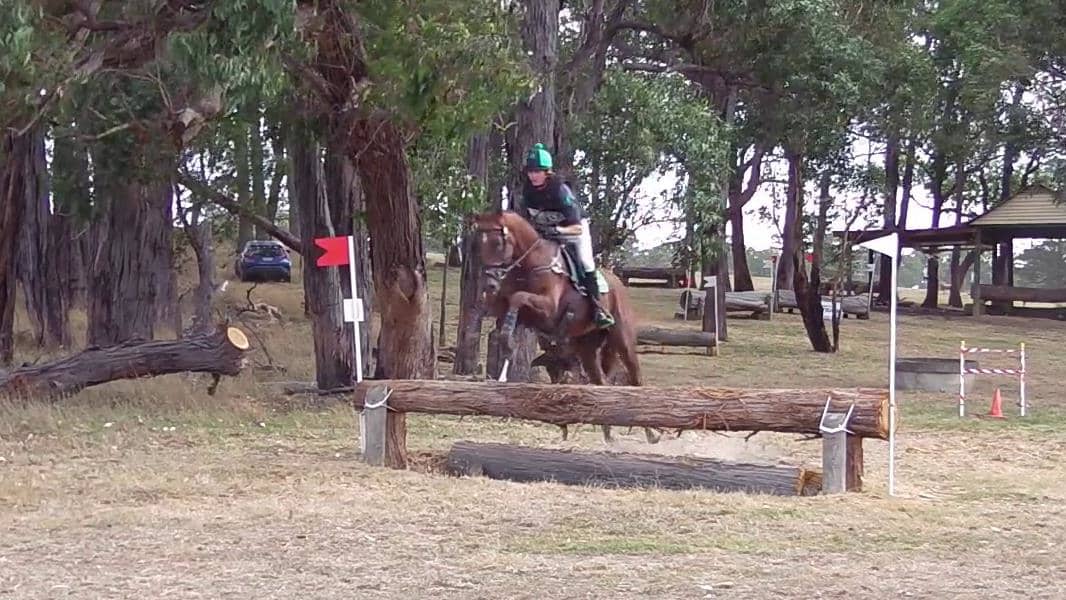 Rory Hamilton riding EHR KING LENNY 499 EvA80 Wandin Park International ...
