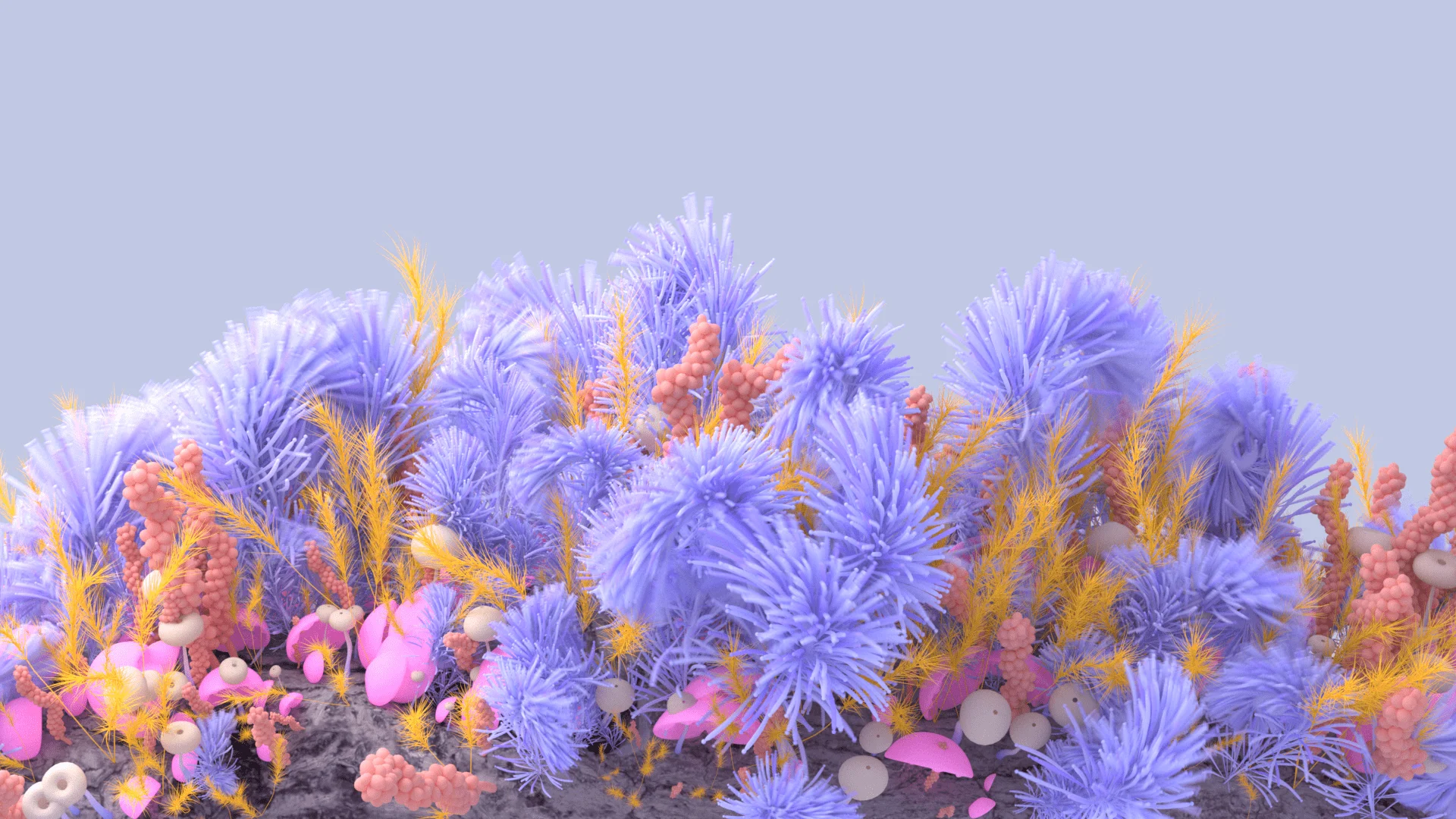 Branch blossom on Vimeo