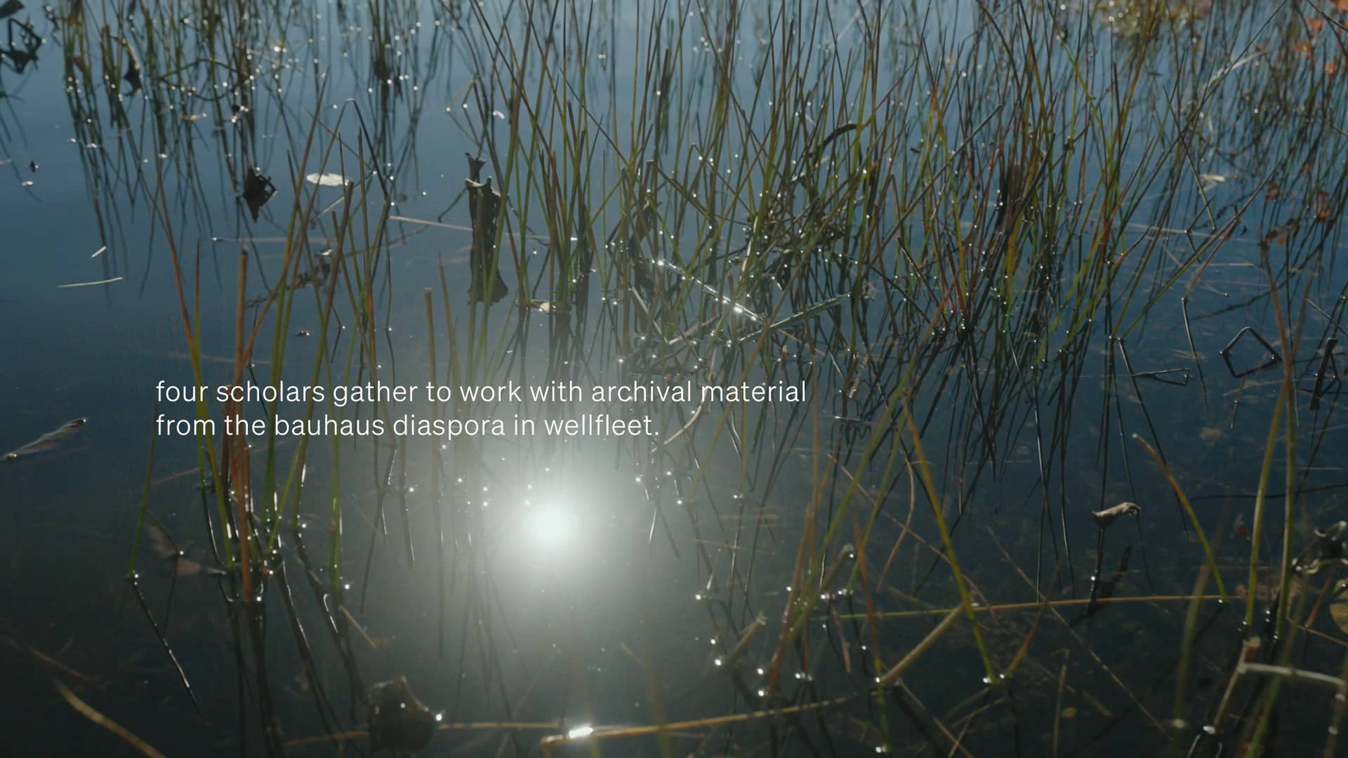 CCMHT The Naked Archive on Vimeo