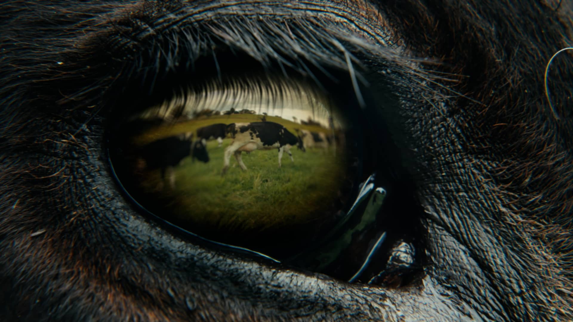 SenseHub ProRes Master on Vimeo