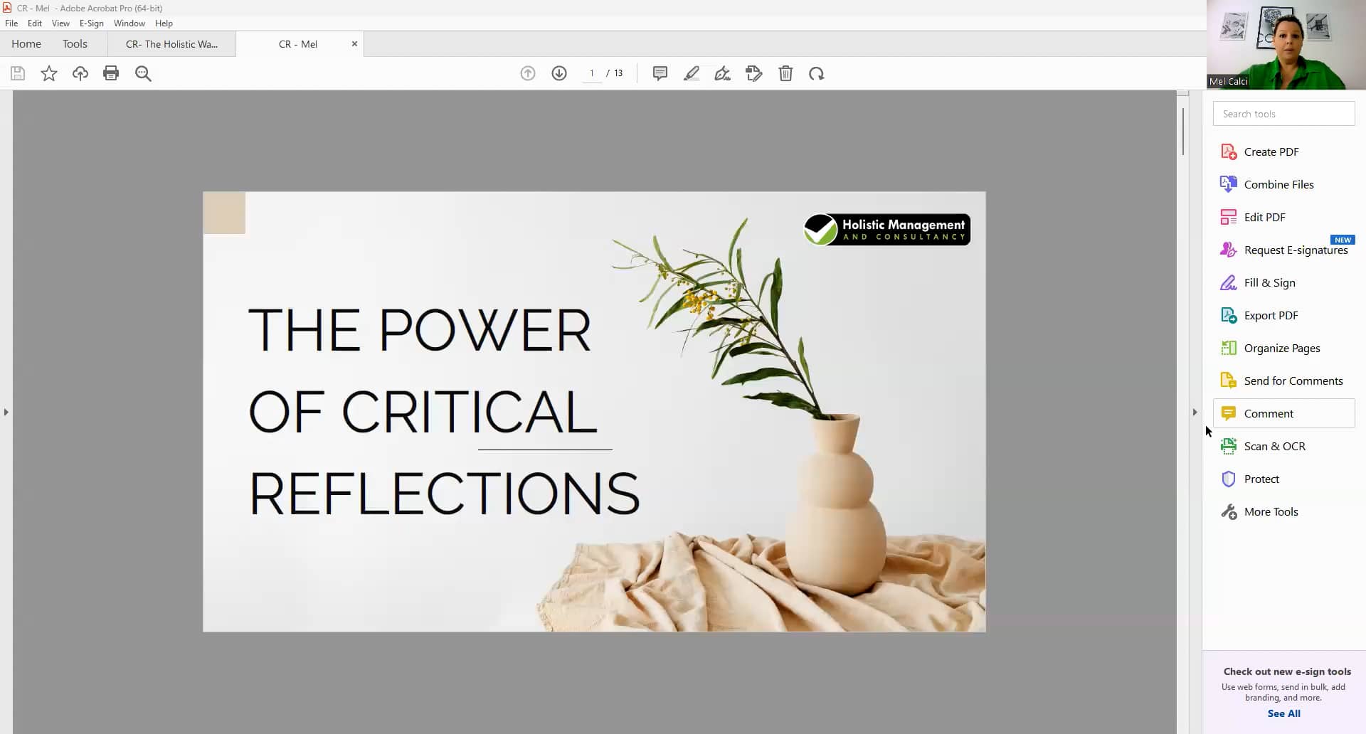 PART II– QIP IN ACTION How to write your goals, unpacking the 3 themes ...