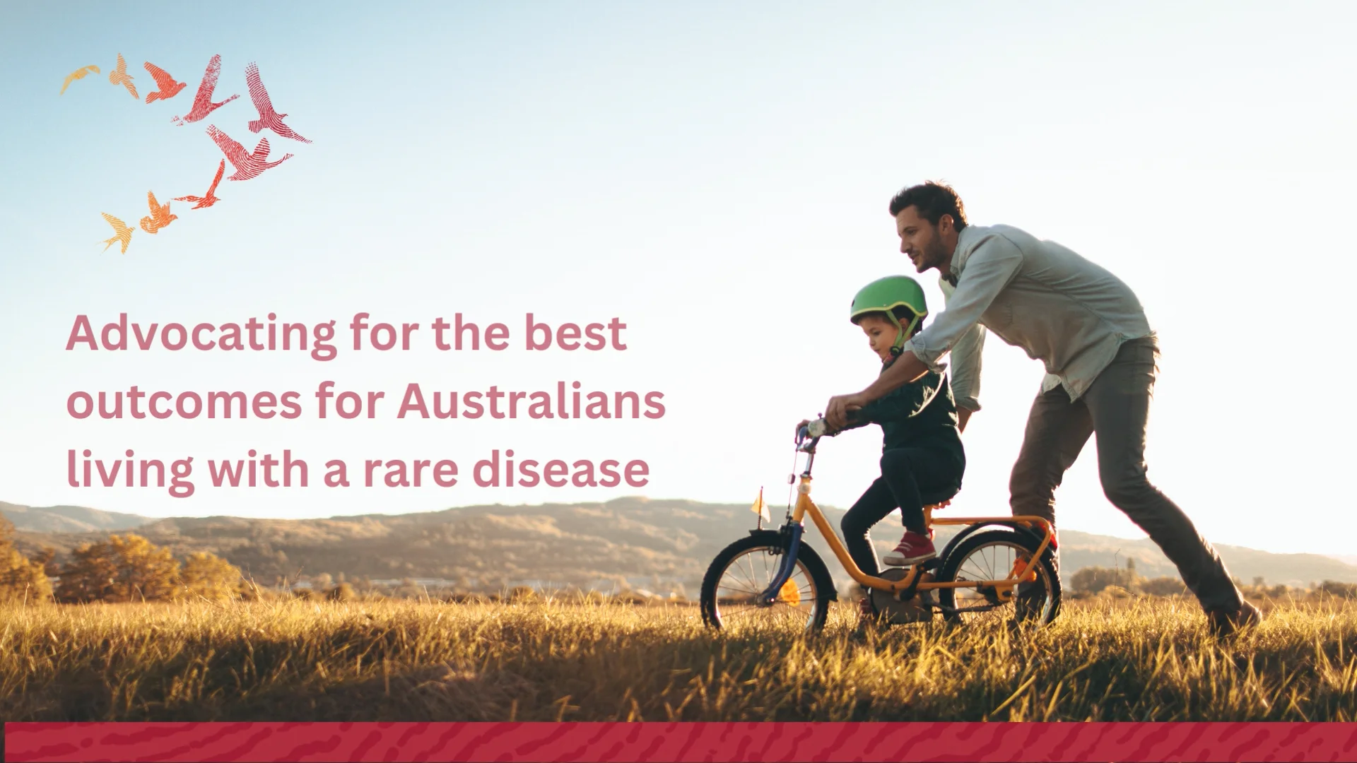 Introducing the Rare Awareness Rare Education (RARE) Portal on Vimeo