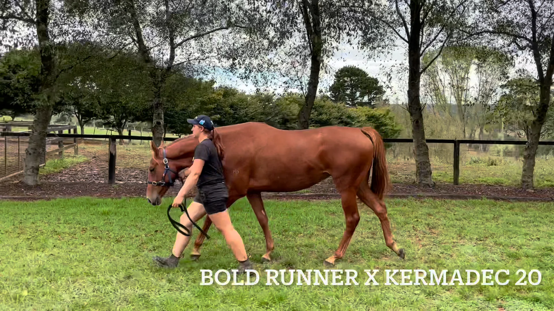 Bold Runner x Kermadec 20 on Vimeo