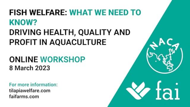 NACA Workshop 2023 on Vimeo