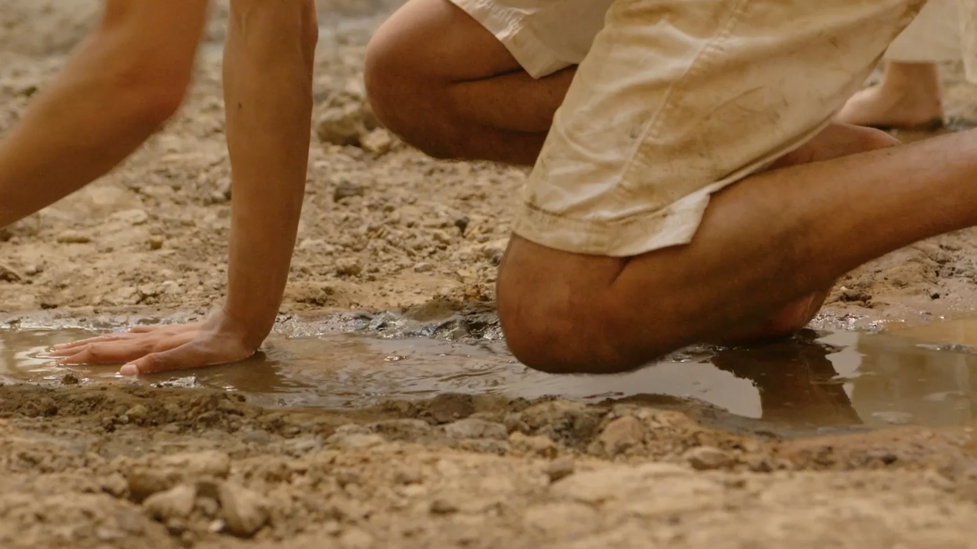 Postgraduate at NSCD. Apply now for 2023 entry on Vimeo