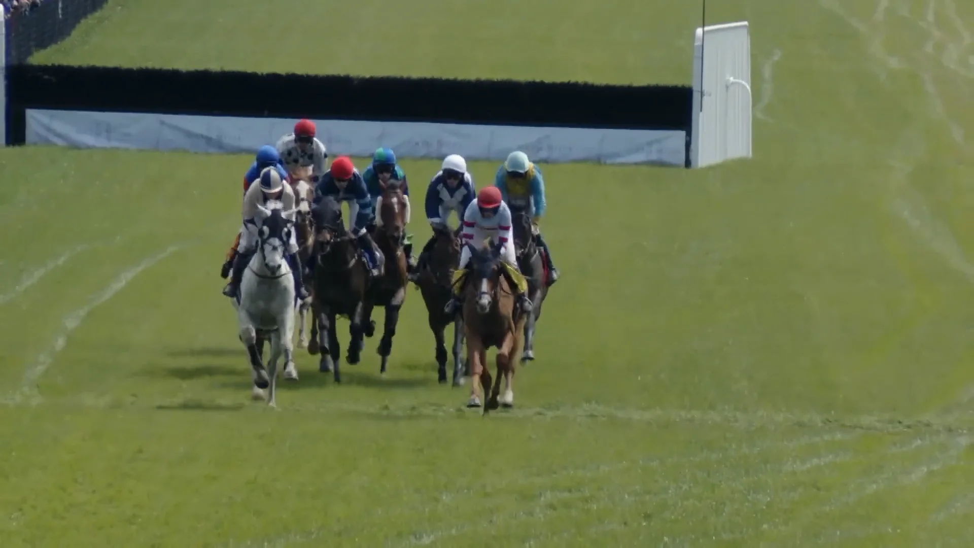 2023 Aiken Spring Steeplechase - AIken 03 25 23 Race 3 on Vimeo 2023 Aiken Spring Steeplechase - AIken 03 25 23 Race 3 on Vimeo