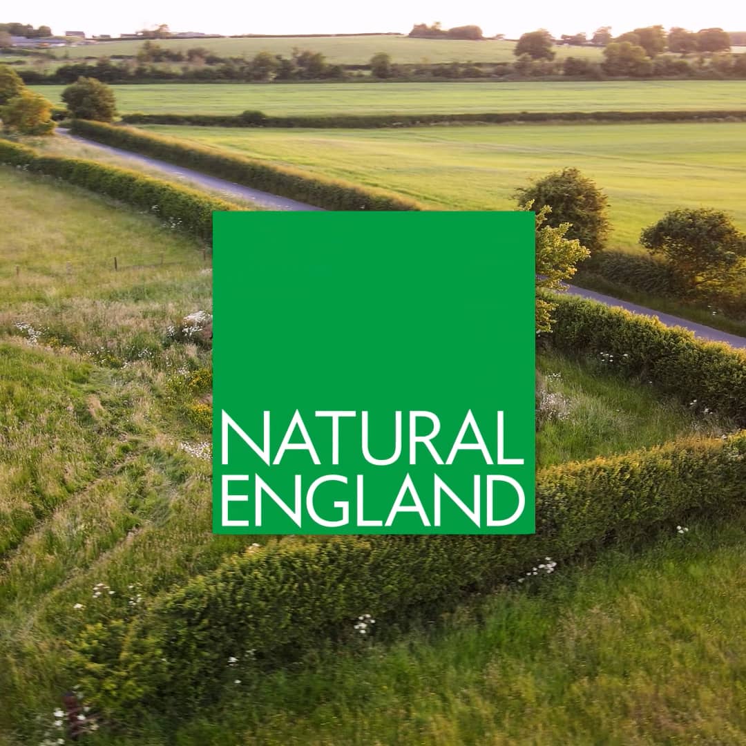 Natural England // Digital Content // District Level Licensing ...