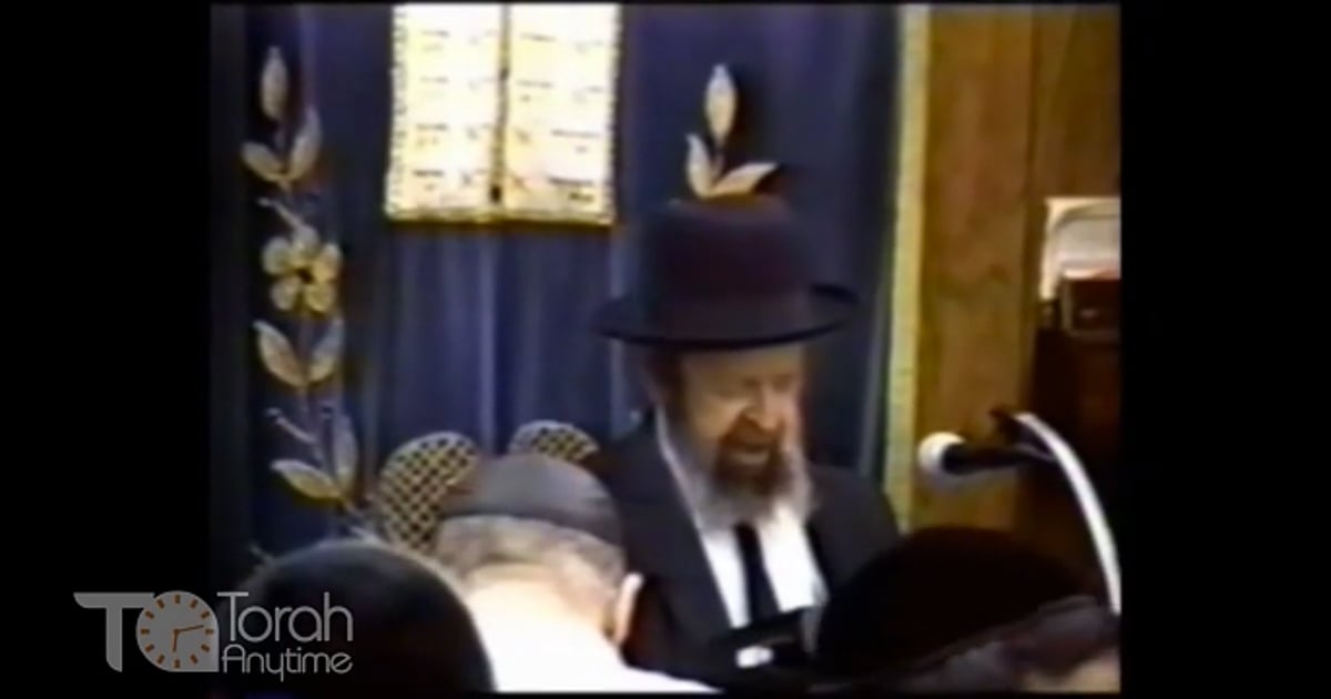 R' Avigdor Miller ZTL | Toras Avigdor Q&A Episode 21 - Achieving Real ...