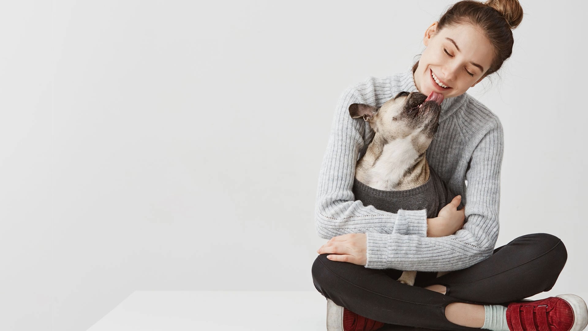 welcome-dog-moms.mp4 on Vimeo