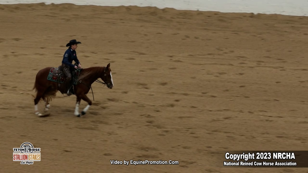 VINCE VON shown by SARAH DAWSON - 2023 NRCHA Stallion Stakes (Cow, Open ...