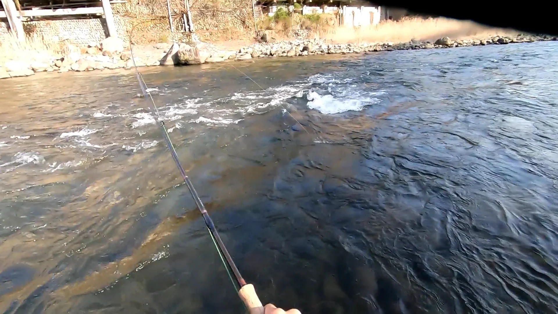 Rainbow Trout 【Fly Fishing】 on Vimeo