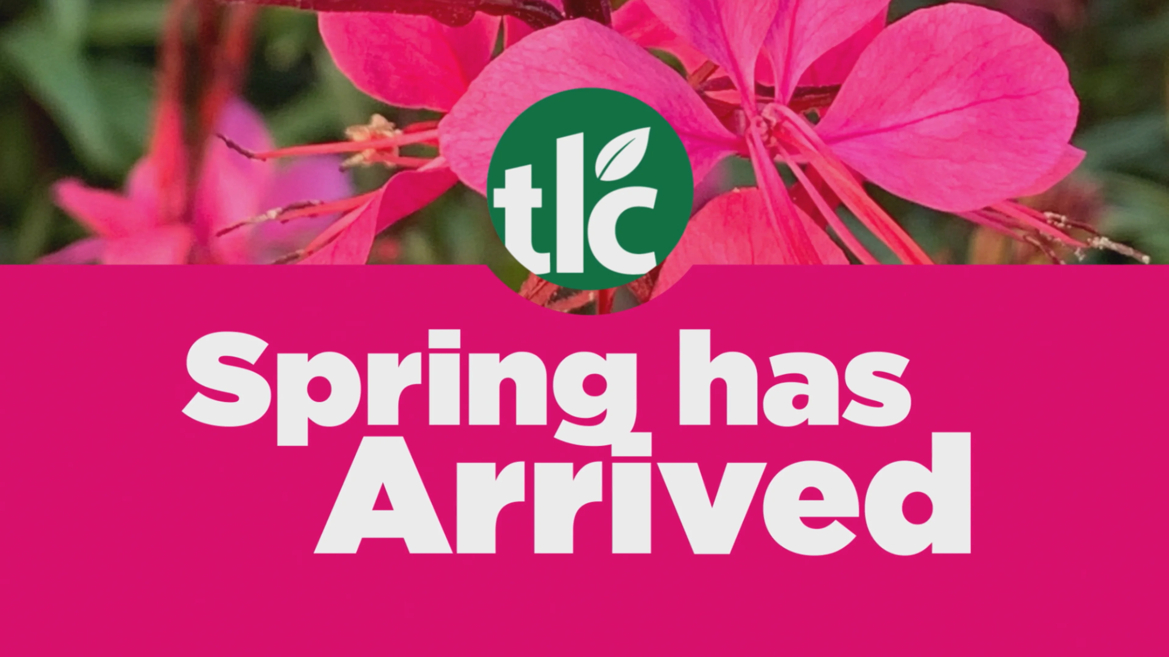 Spring Is Here at TLC! on Vimeo