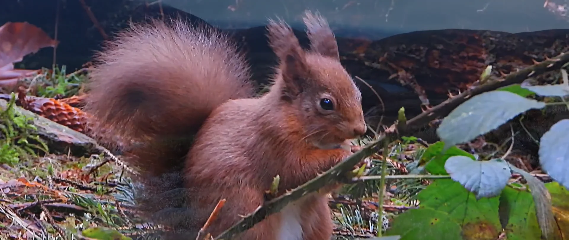 Eco Prayer for a General Assembly