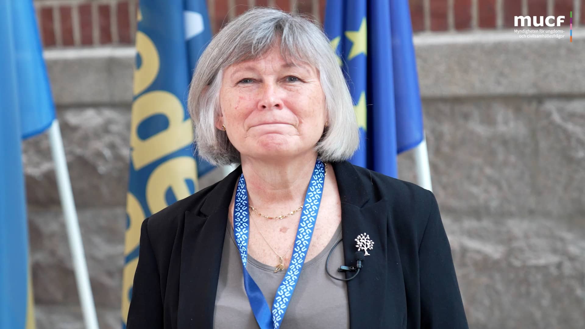 MUCF:s generaldirektör Lena Nyberg informerar inför Europadagen 9 maj ...